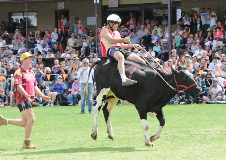 The Incredible Shrinking Van - RV Daily