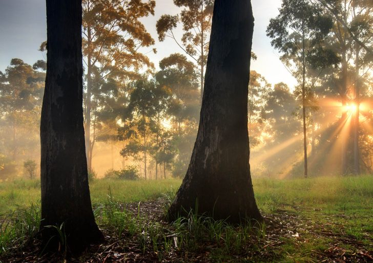 Places You Love - They're after your land - RV Daily