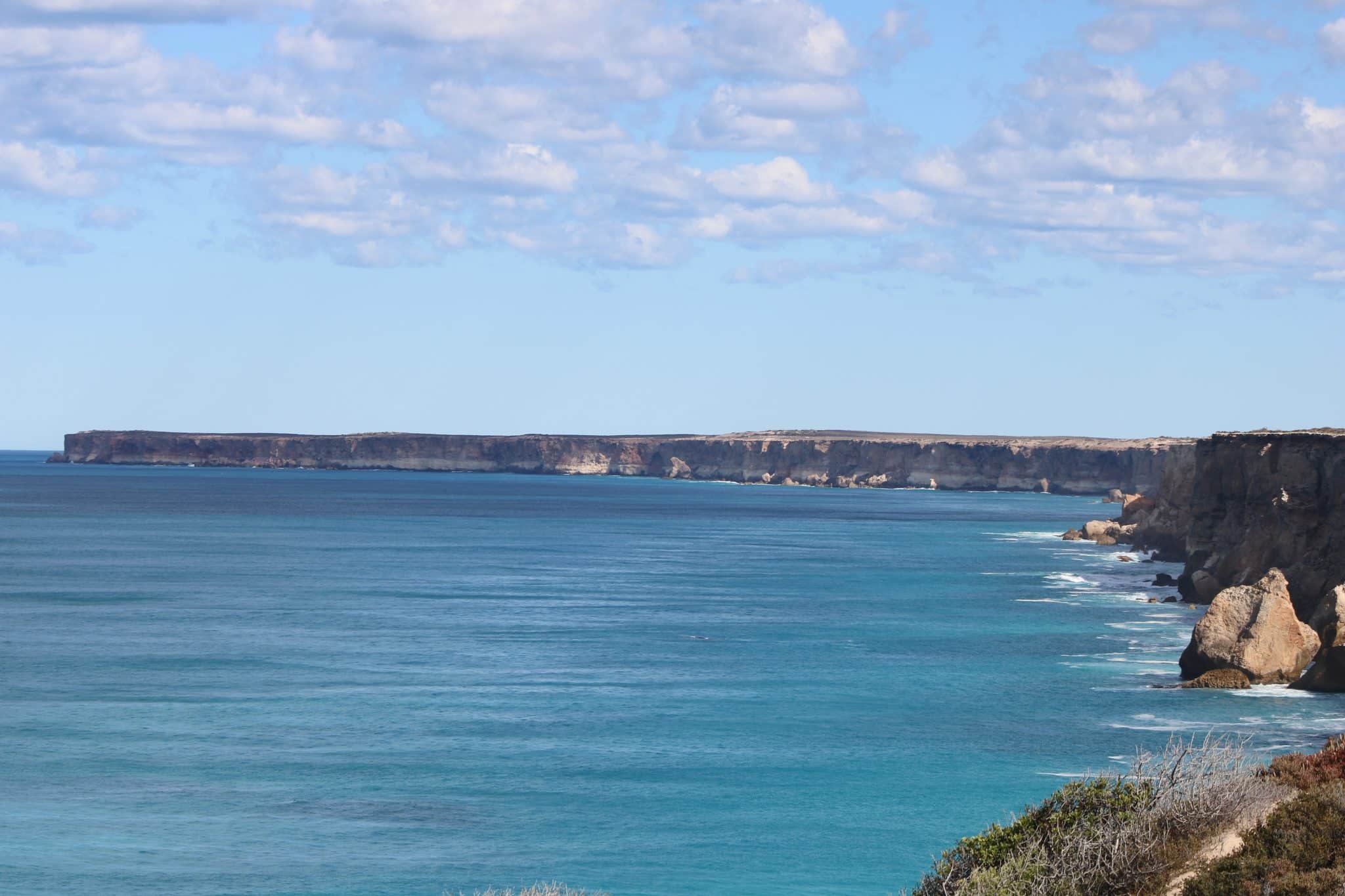 Wake up to whales at the Head of Bight