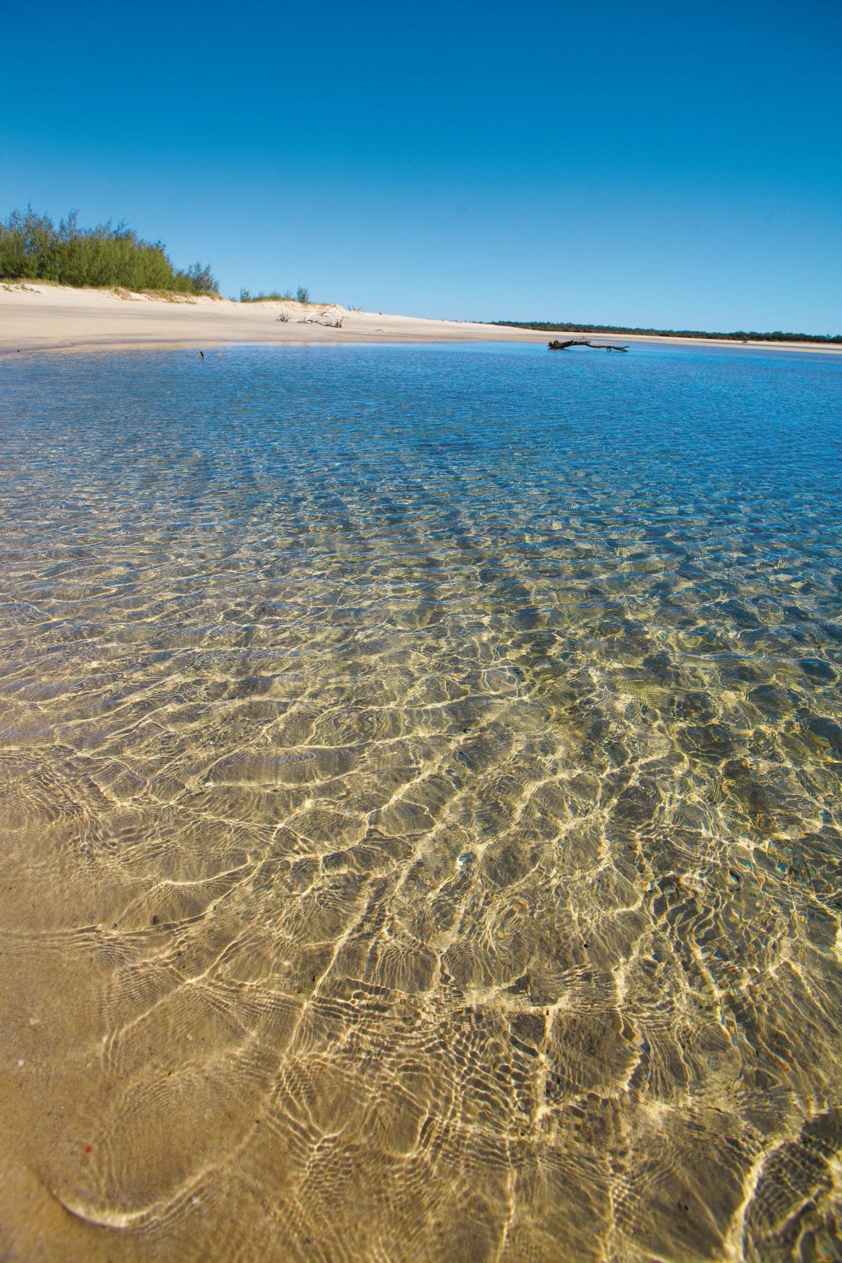 The NRMA Woodgate Beach Holiday Park is beachside holiday bliss