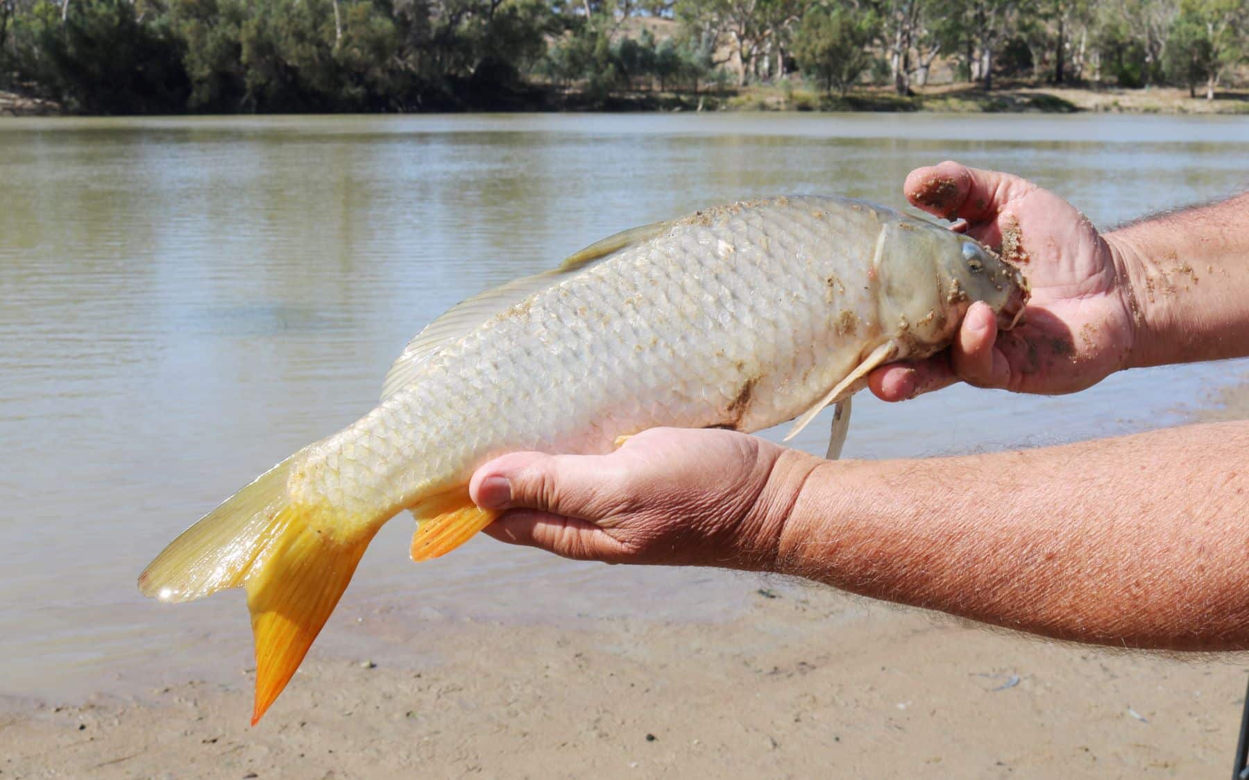 Don't miss these fishing hot spots in South Australia