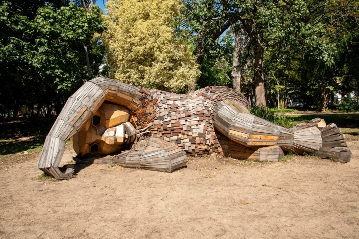 Giants of Mandurah: Everything you need to know to find them