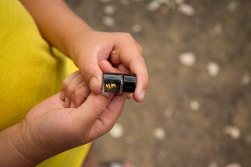 Where to go fossicking, stay and play in Inverell