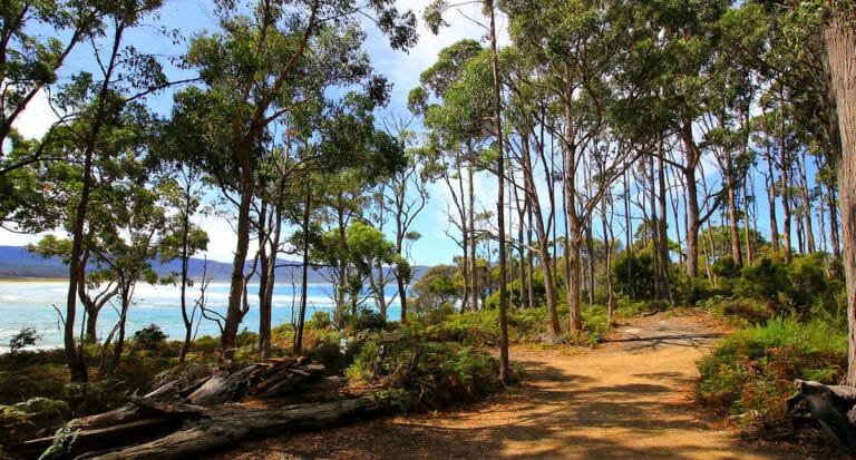 Camping on Bruny Island: Escape to unforgettable campsites