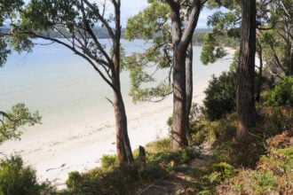 Camping on Bruny Island: Escape to unforgettable campsites