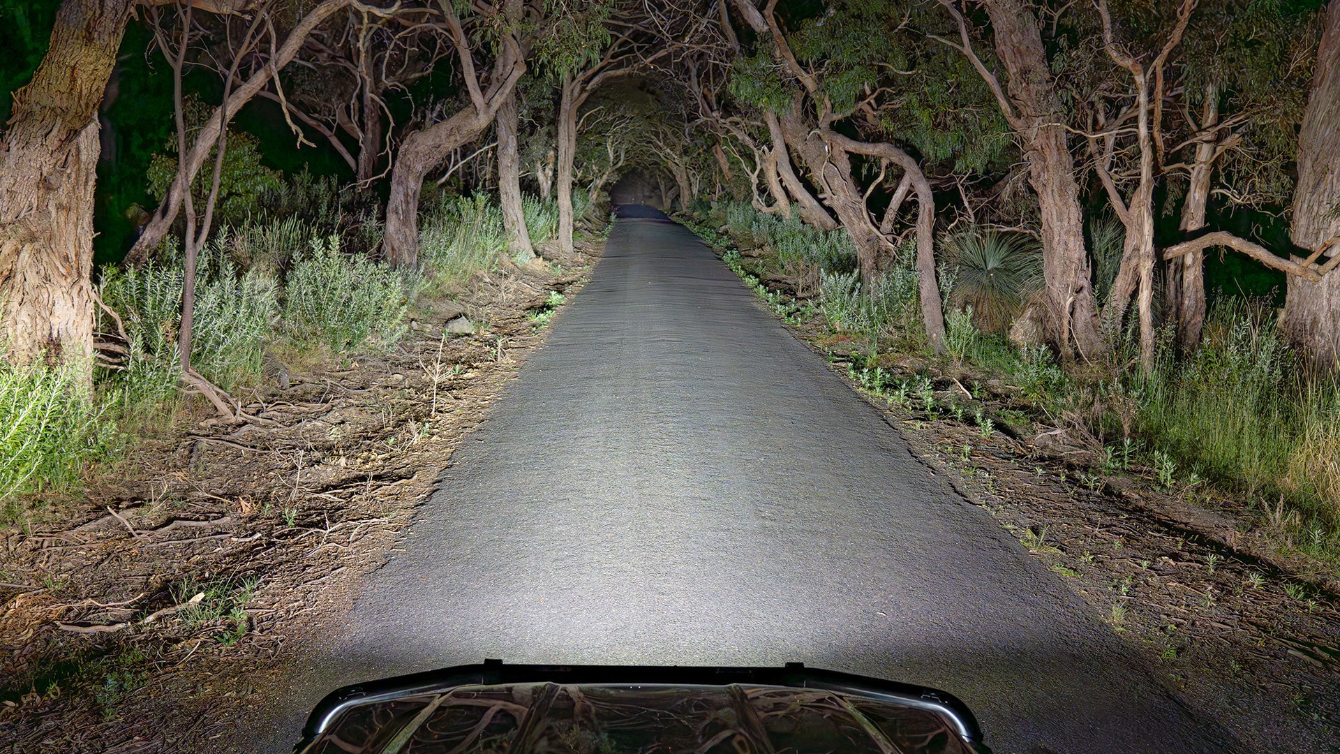 First look at the new Lightforce BEAST LED driving lights - RV Daily