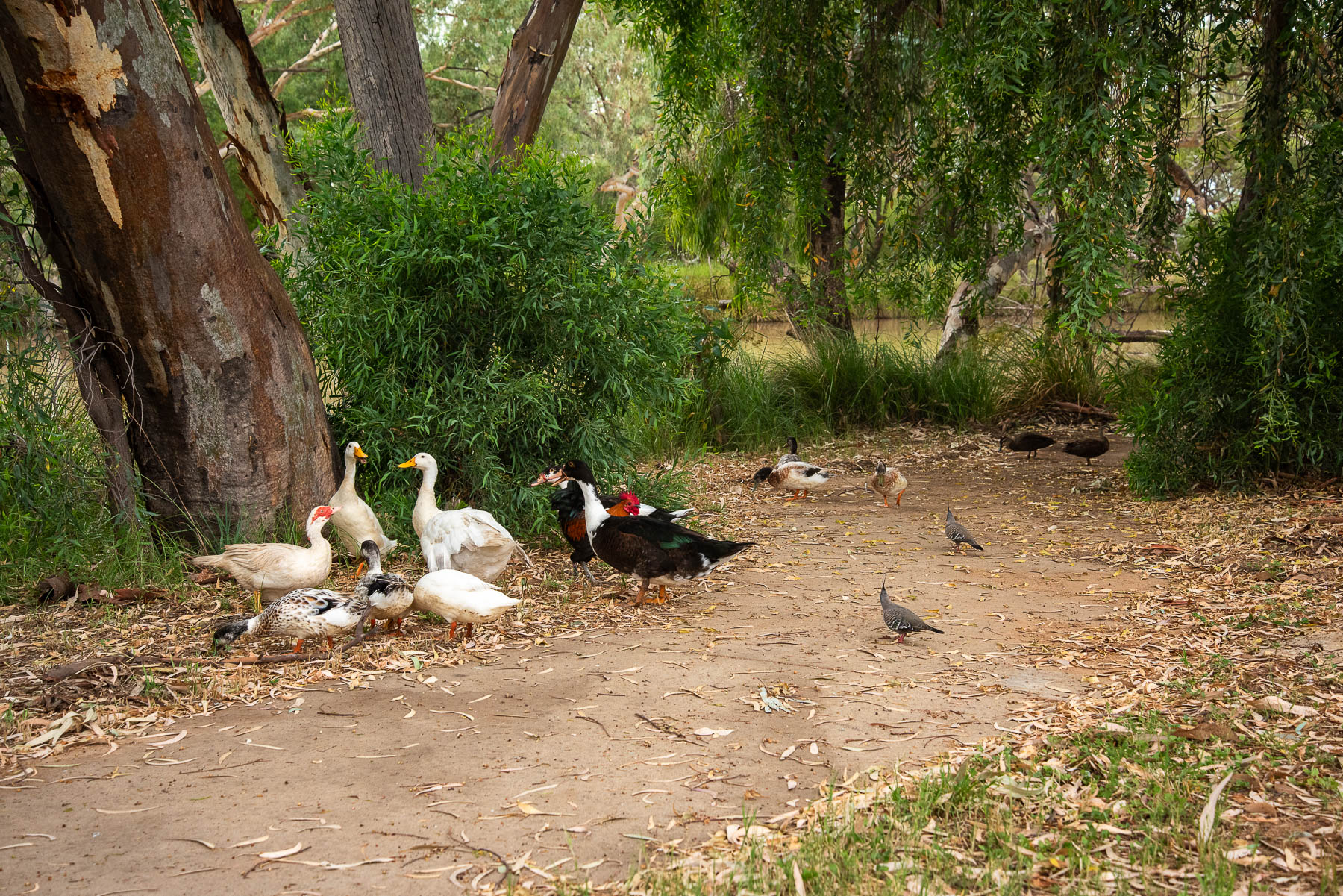 The Adventure Way Loop: 4-day Outback QLD road trip itinerary